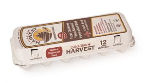 Welcome to BORN 3 EGGS - BORN 3 EGGS