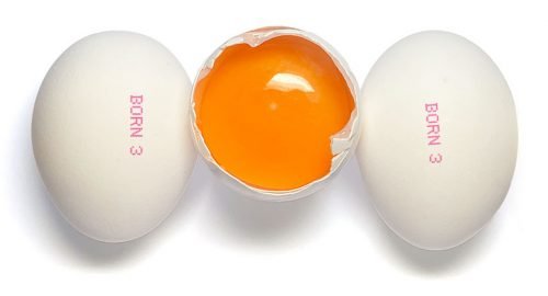 Welcome to BORN 3 EGGS - BORN 3 EGGS